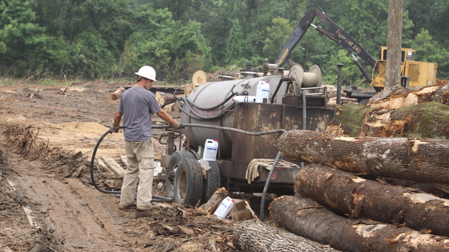 Swamp Loggers | Apple TV