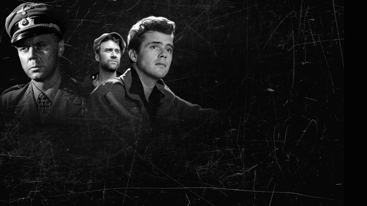 Night Ambush | Apple TV