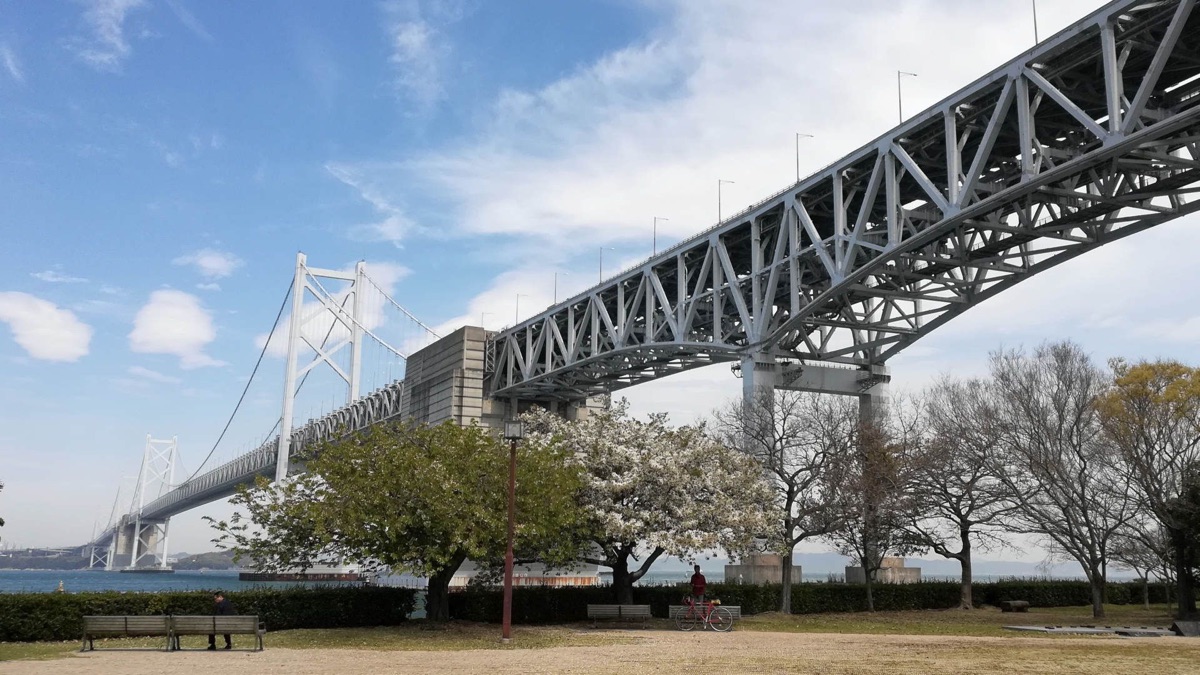 The World of Bridges | Apple TV (AU)