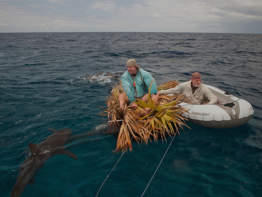 How Sharks Hunt | Apple TV