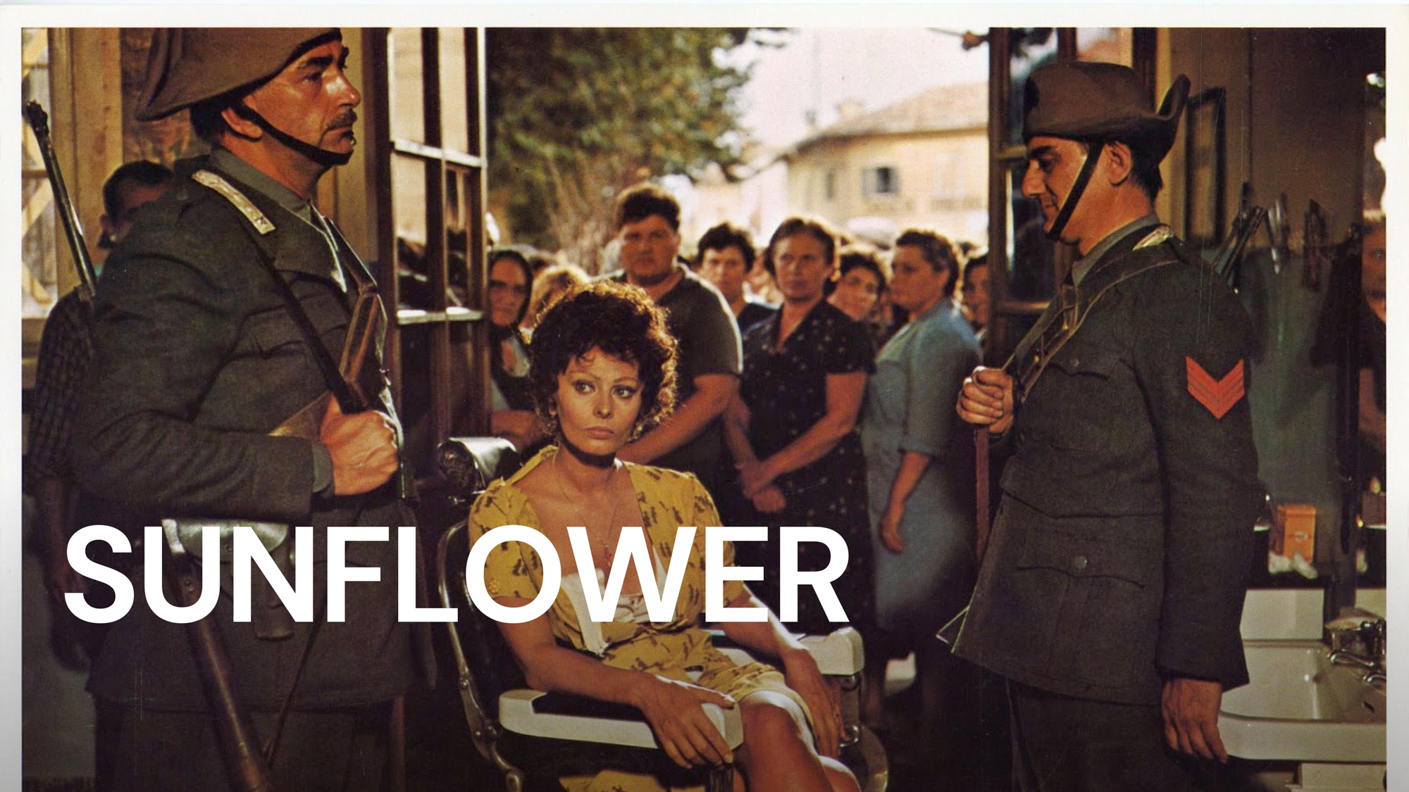 Sunflower on Apple TV