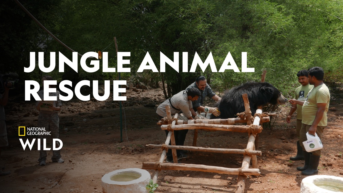 Jungle Animal Rescue | Apple TV