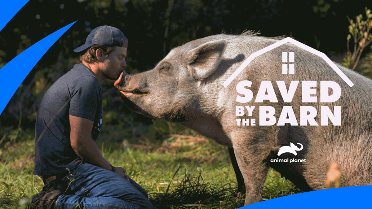 Saved By The Barn | Apple TV