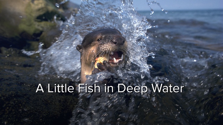 The Origami Code on Apple TV