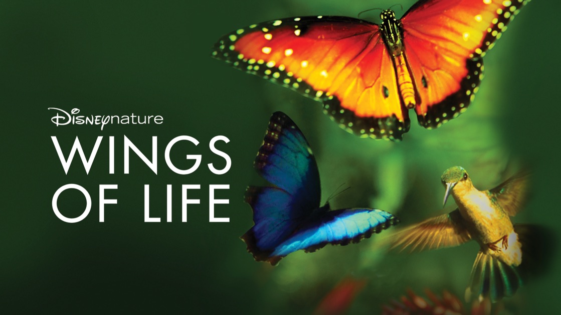 Disneynature: Wings of Life | Apple TV