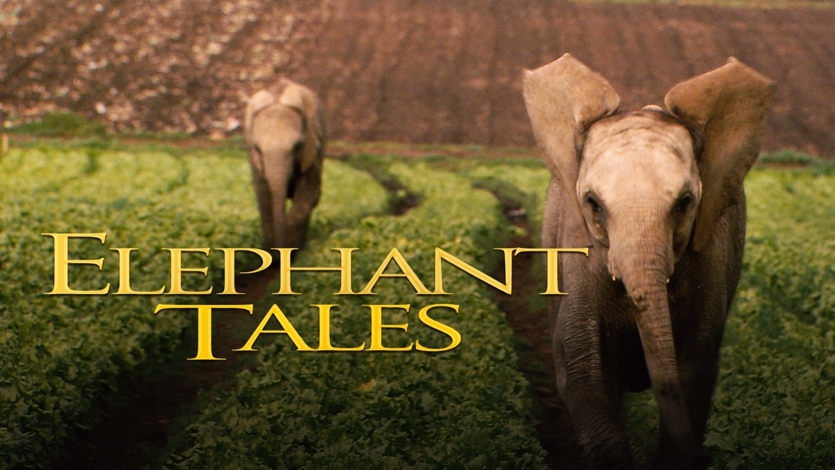 Elephant Tales | Apple TV