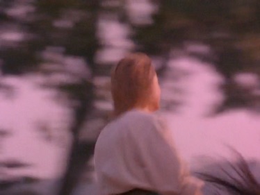 Wild Hearts Can't Be Broken on Apple TV