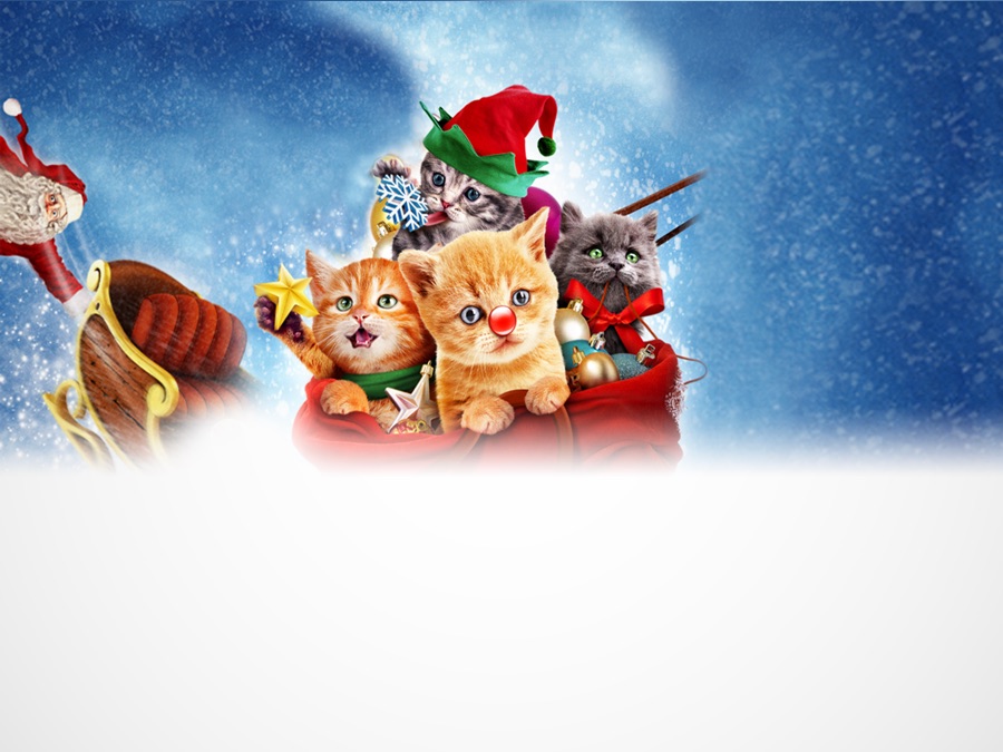 Santa Claws | Apple TV