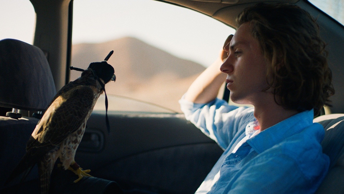 The Falconer | Apple TV