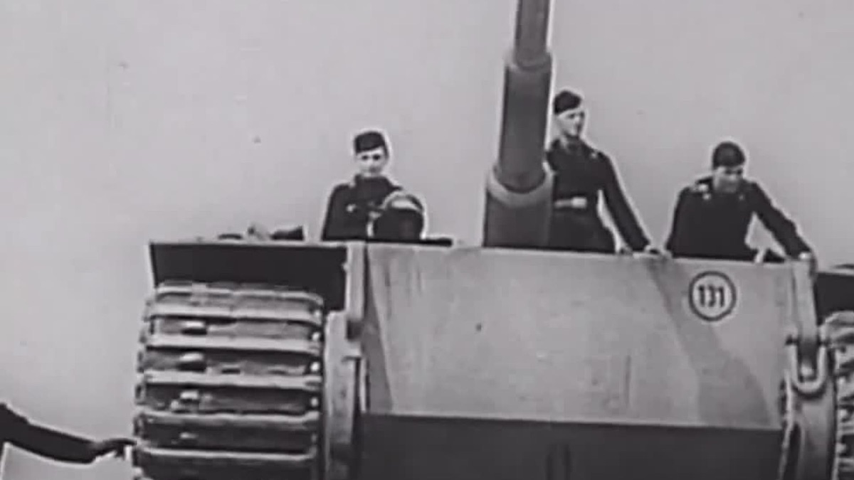 Tiger 131 Revisited | Apple TV