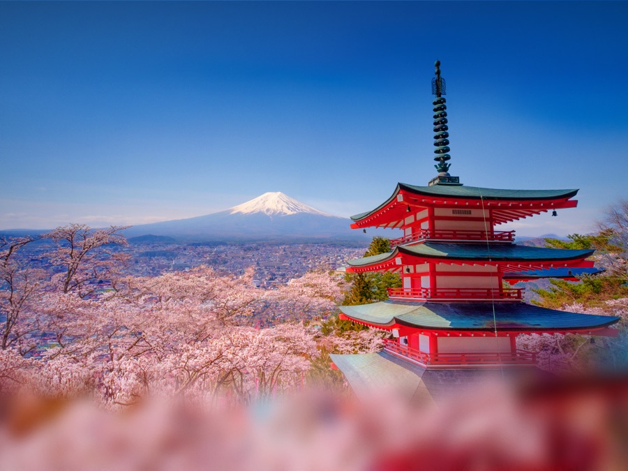 Tale of Kitto Katto | Apple TV (uk)