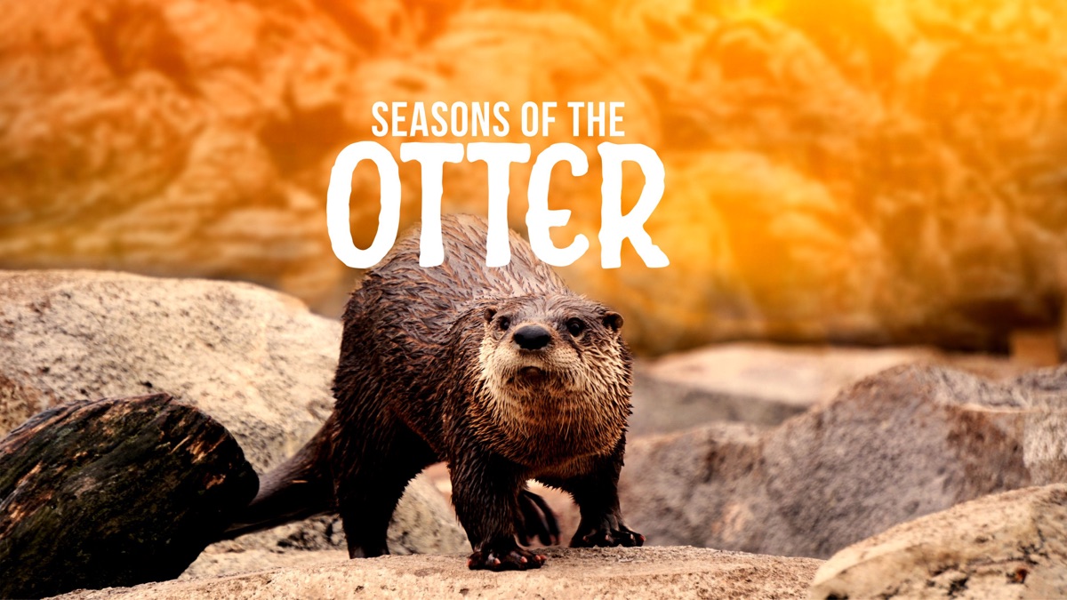 Seasons of the Otter - Apple TV