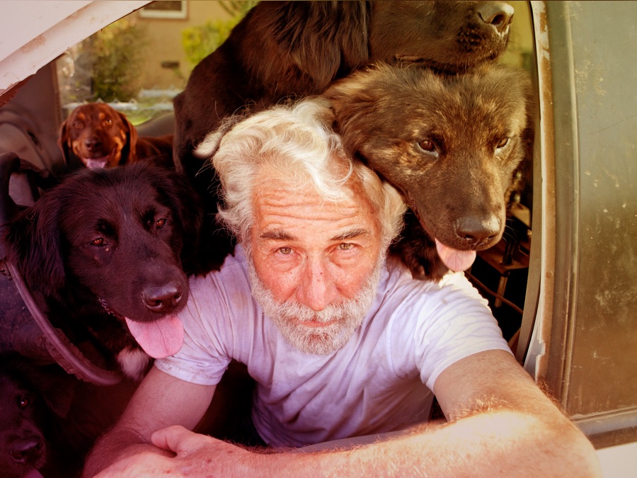 Acumuladores de Mascotas | Apple TV