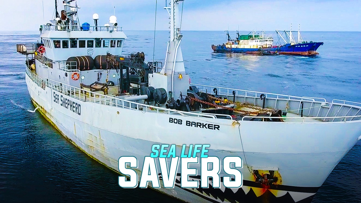 Sea Life Savers | Apple TV