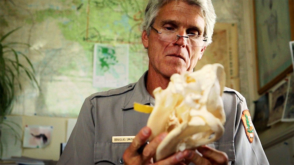 The Trouble With Wolves | Apple TV (uk)