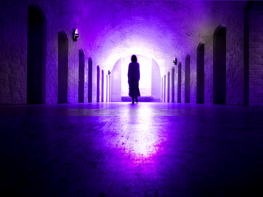 Anomaly: Haunting Stories of Paranormal Investigations - Apple TV