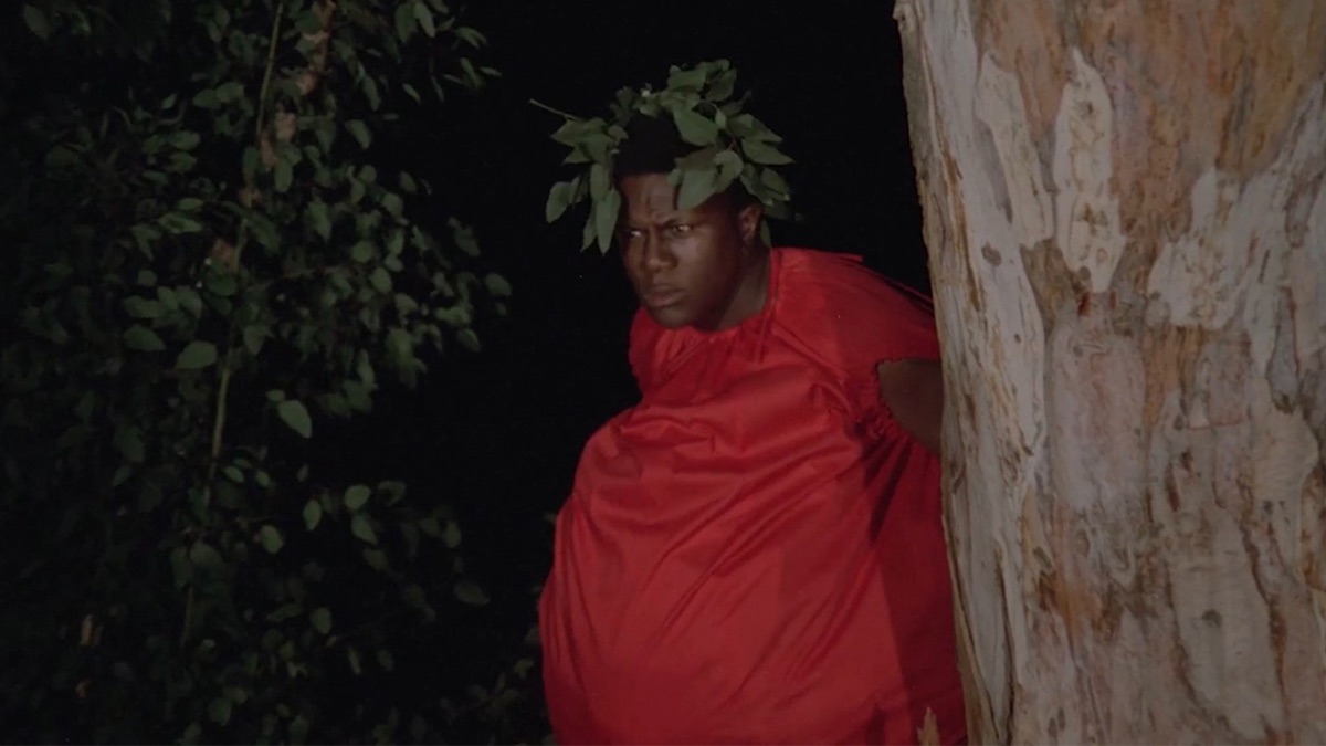 Attack of the Killer Tomatoes | Apple TV