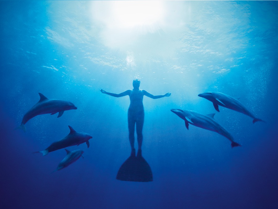 The Cove - Apple TV (UK)