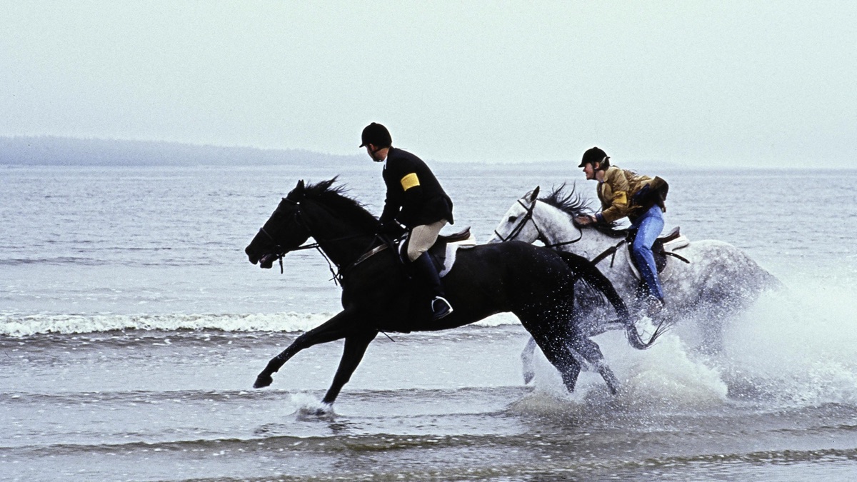 Virginia's Run | Apple TV