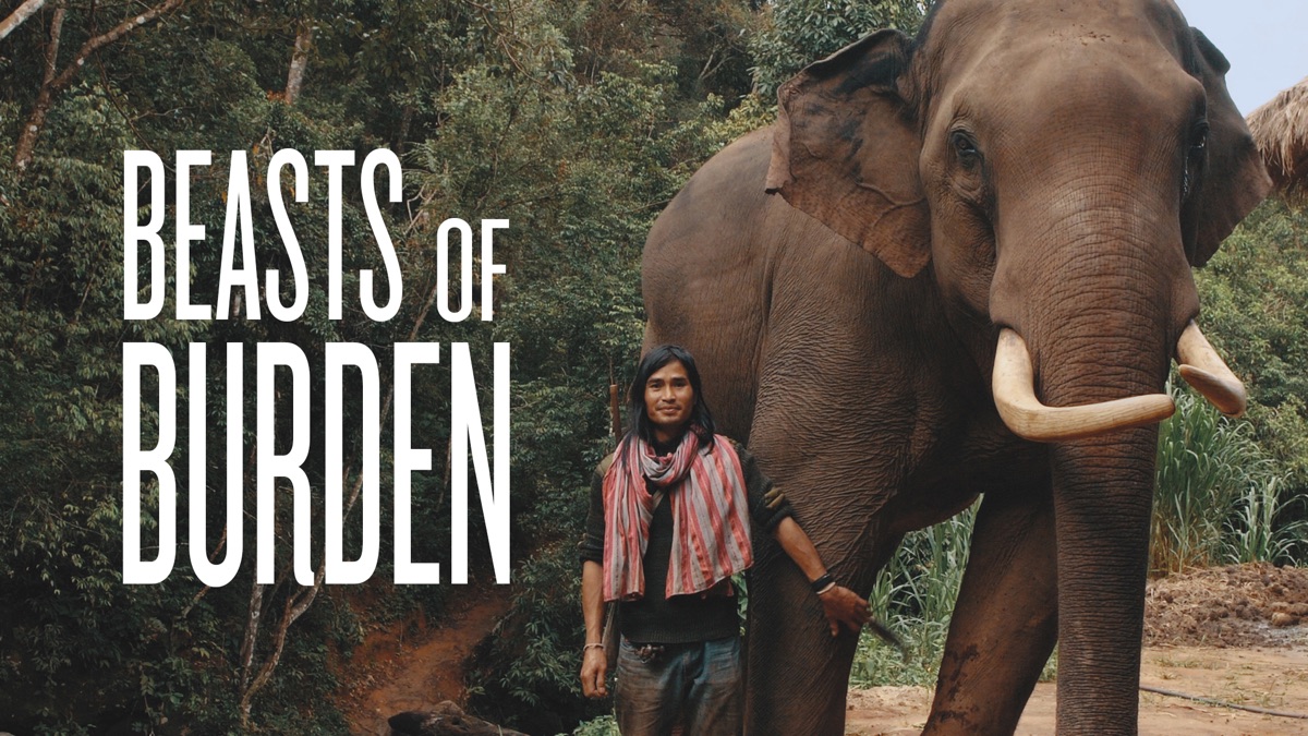 Beasts of Burden | Apple TV