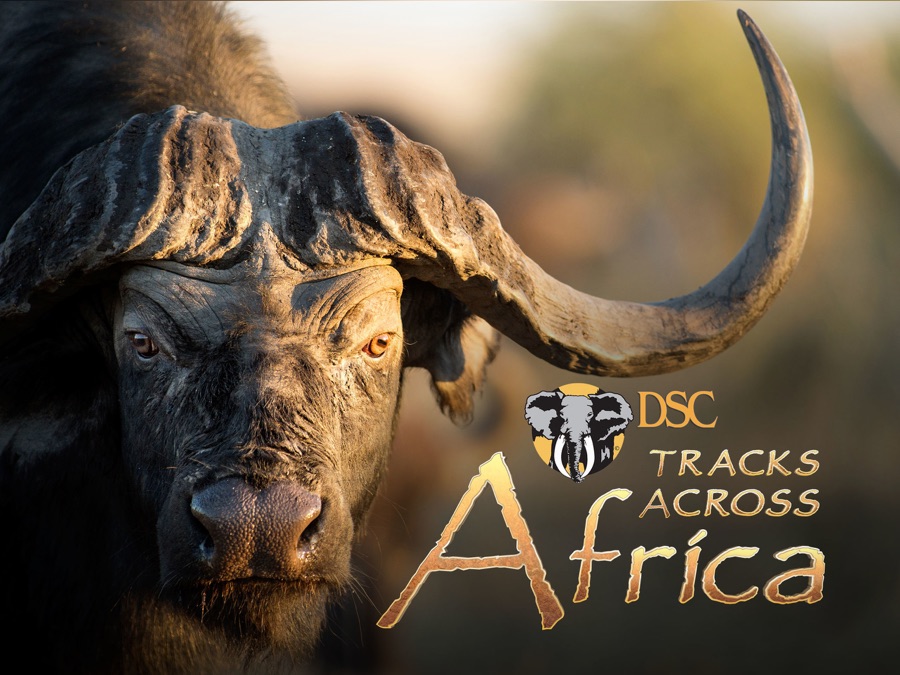 Tracks Across Africa | Apple TV