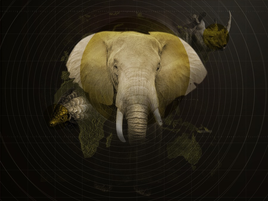 Animal Black Ops - Apple TV