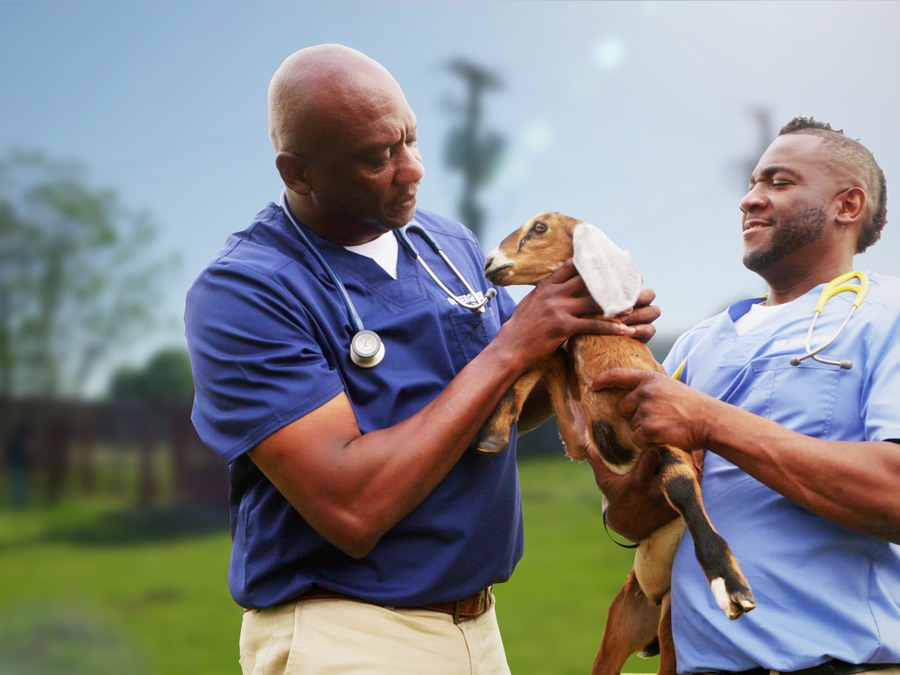 Critter Fixers: Country Vets | Apple TV (CL)